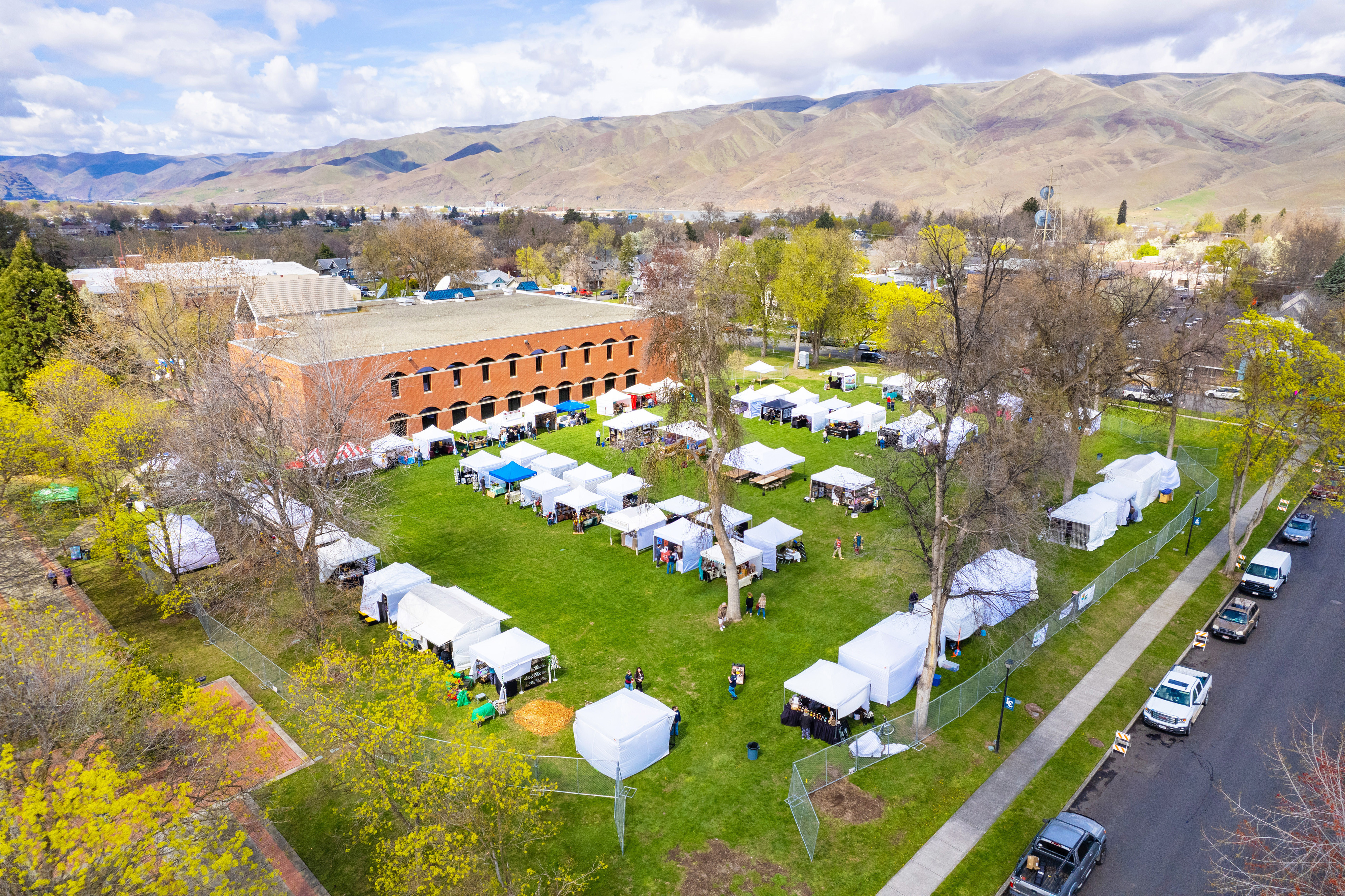 39th annual Art Under the Elms is April 18-20 - Campus News | Lewis ...