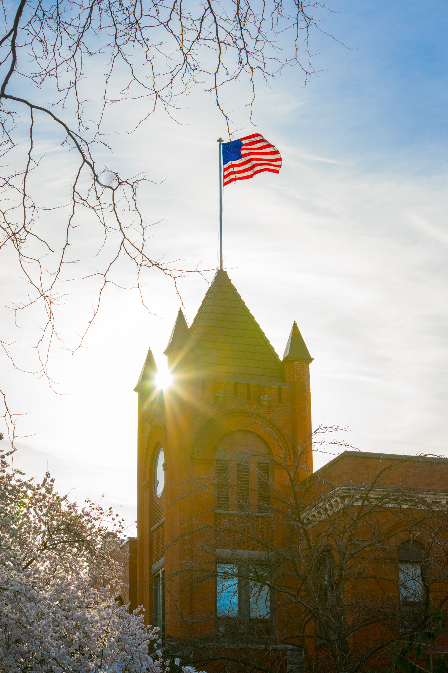 LC State athletics announces new logo - Campus News | Lewis-Clark State