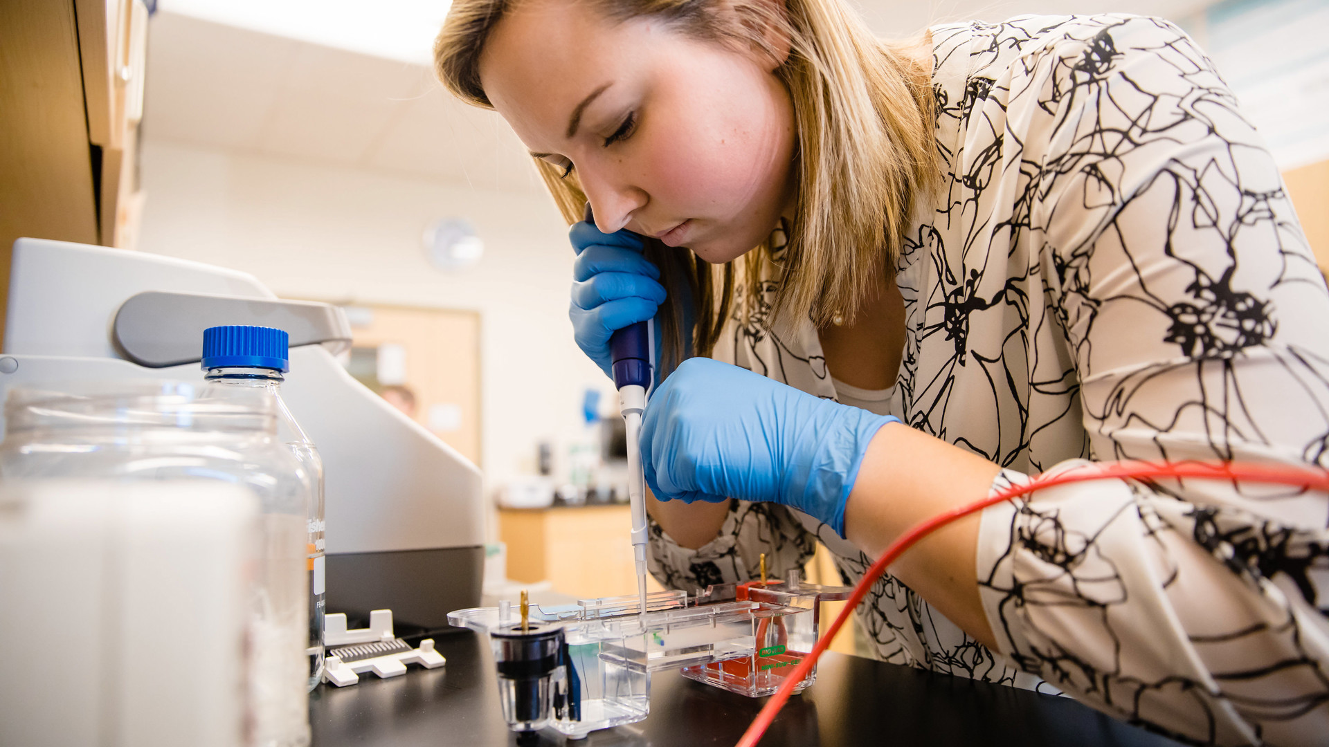 Program Finder | Lewis-Clark State