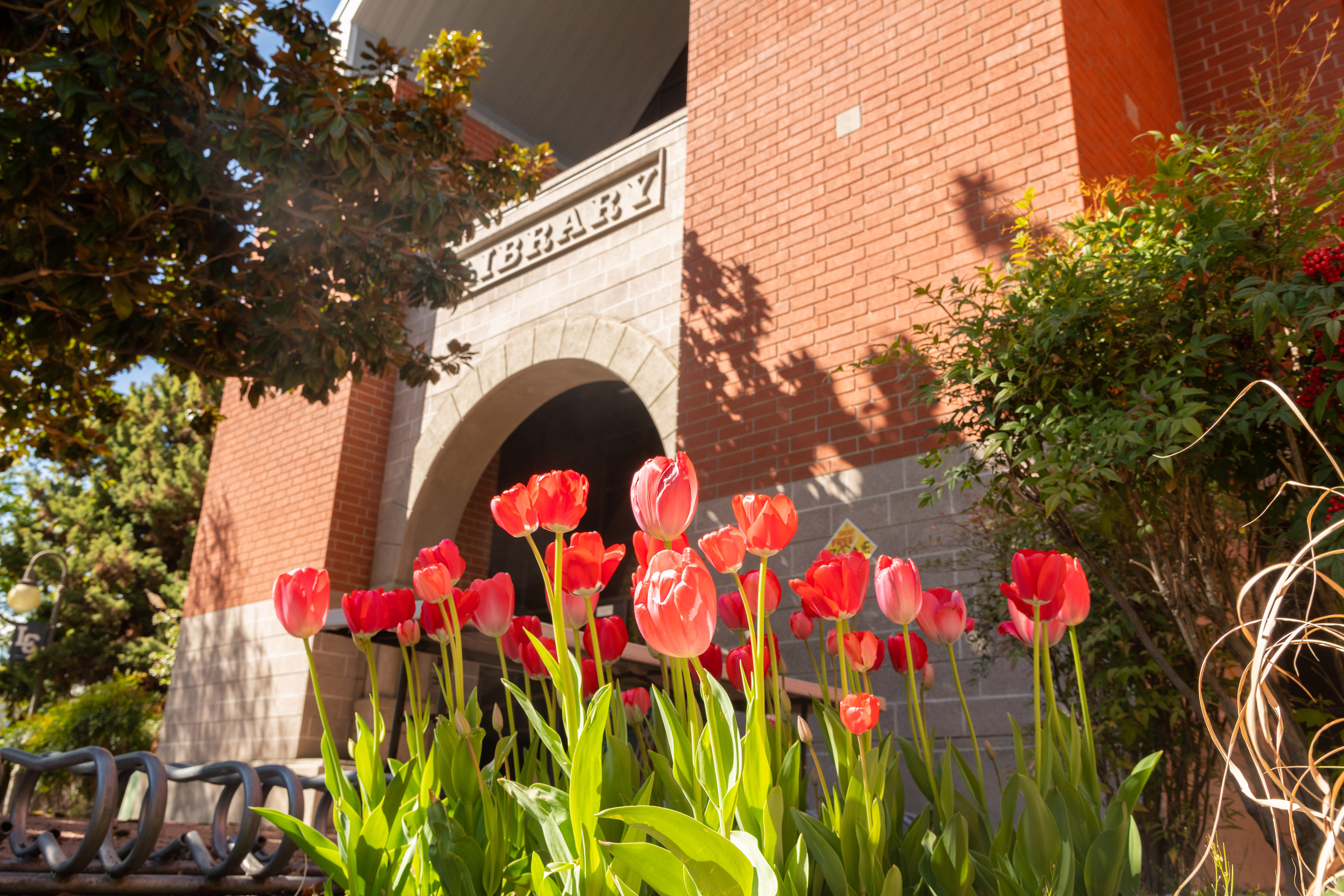 Library | Lewis-Clark State